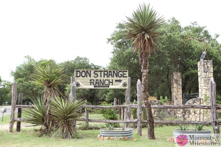 Love Affair at The Don Strange Ranch - Moments and Milestones