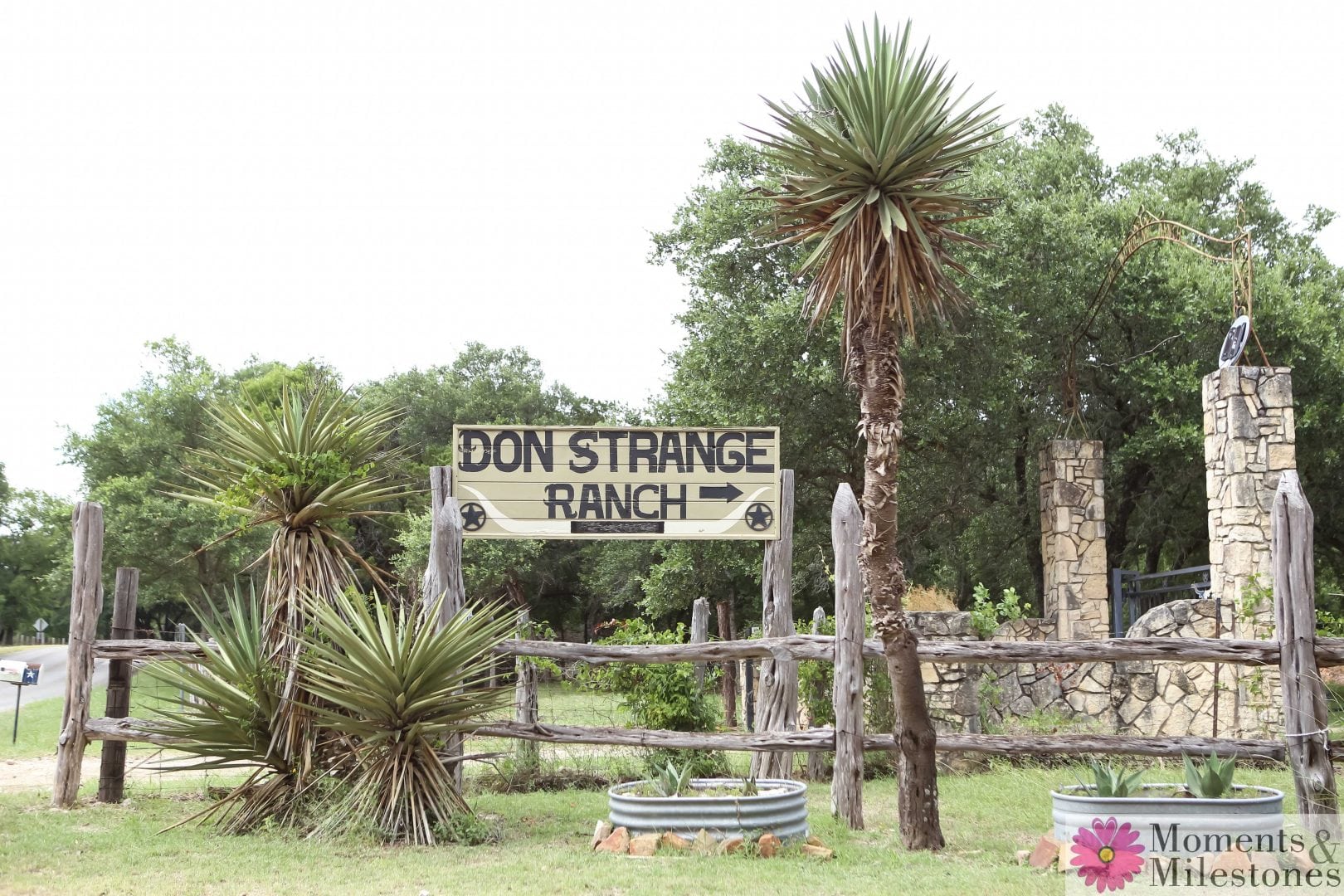 Love Affair at The Don Strange Ranch - Moments and Milestones